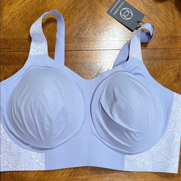 Evelyn & Bobbie | Intimates & Sleepwear | Elegant Lavender Womens Bra ...